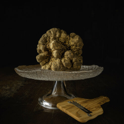 Scoperto maxi tartufo, è record stagionale - Robb Report Italia