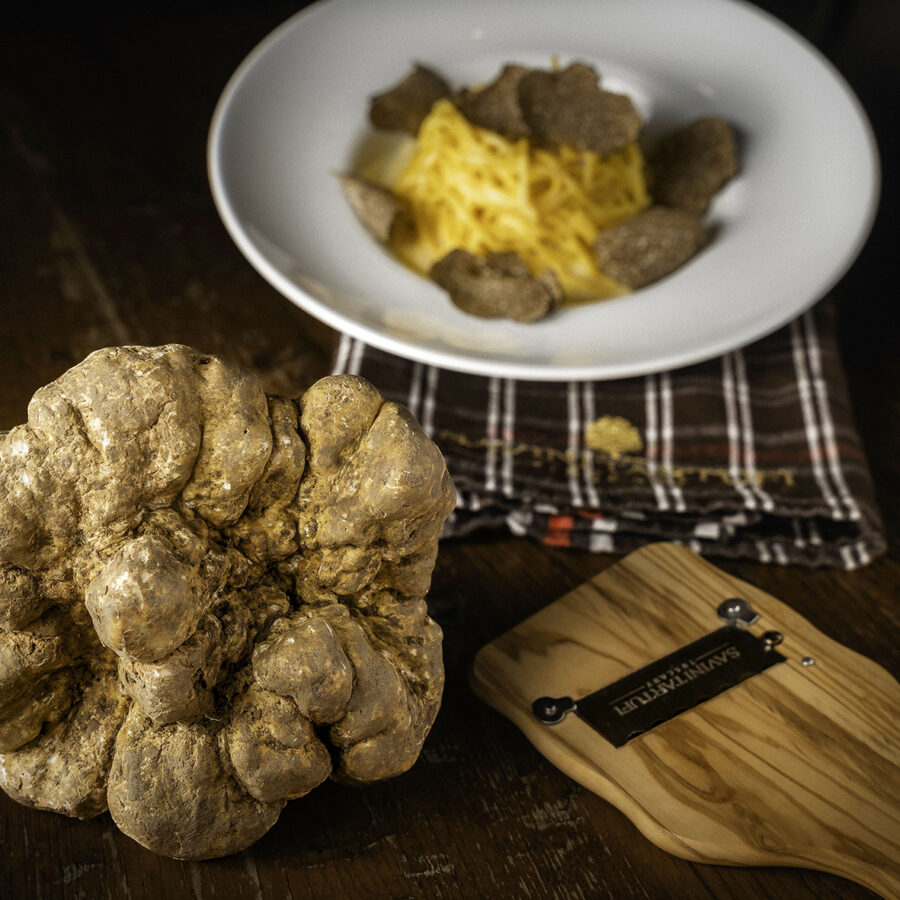 Scoperto maxi tartufo, è record stagionale - Robb Report Italia