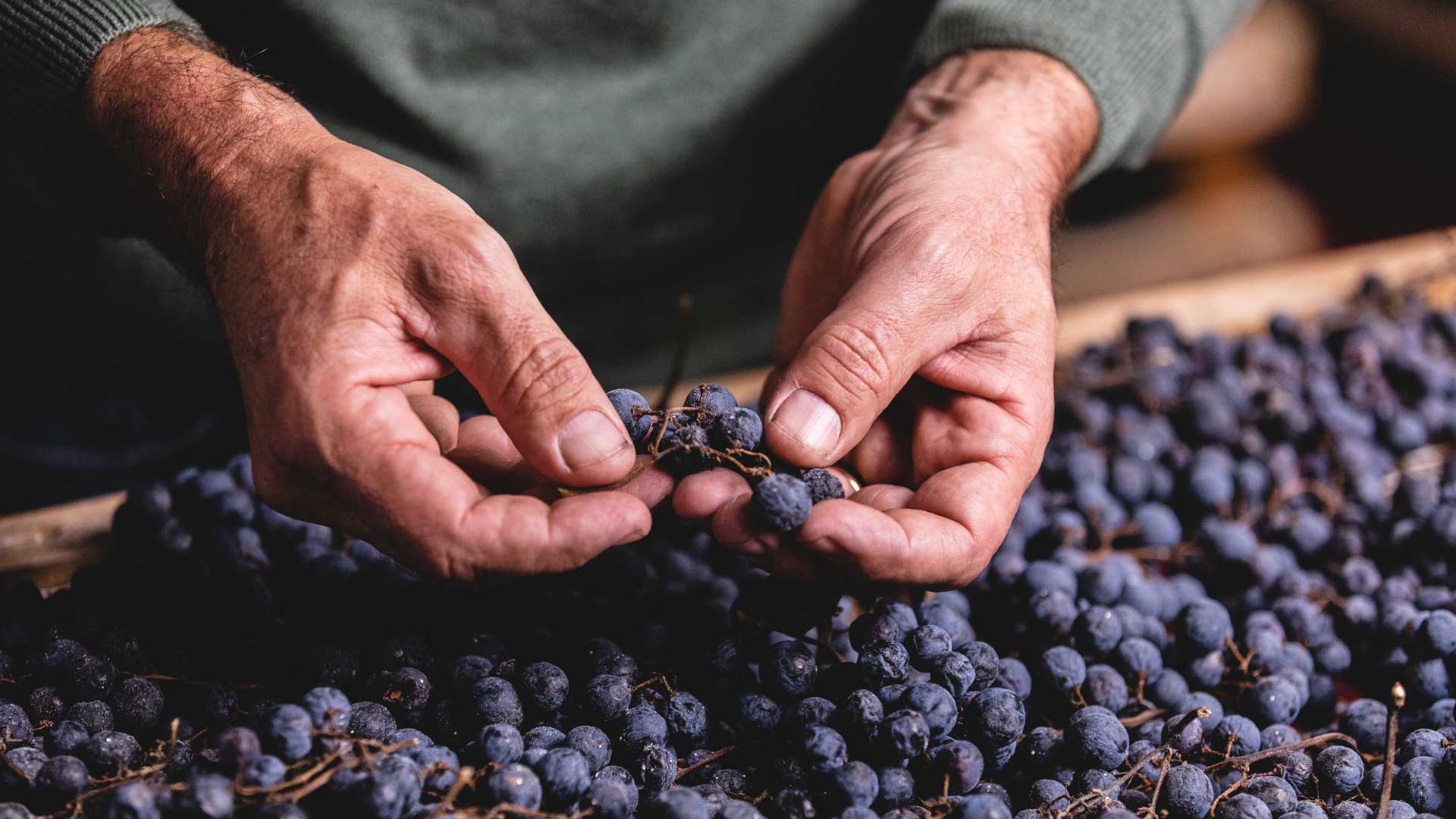 Reboro: i grandi rossi della valle dei laghi | Robb Report Italia