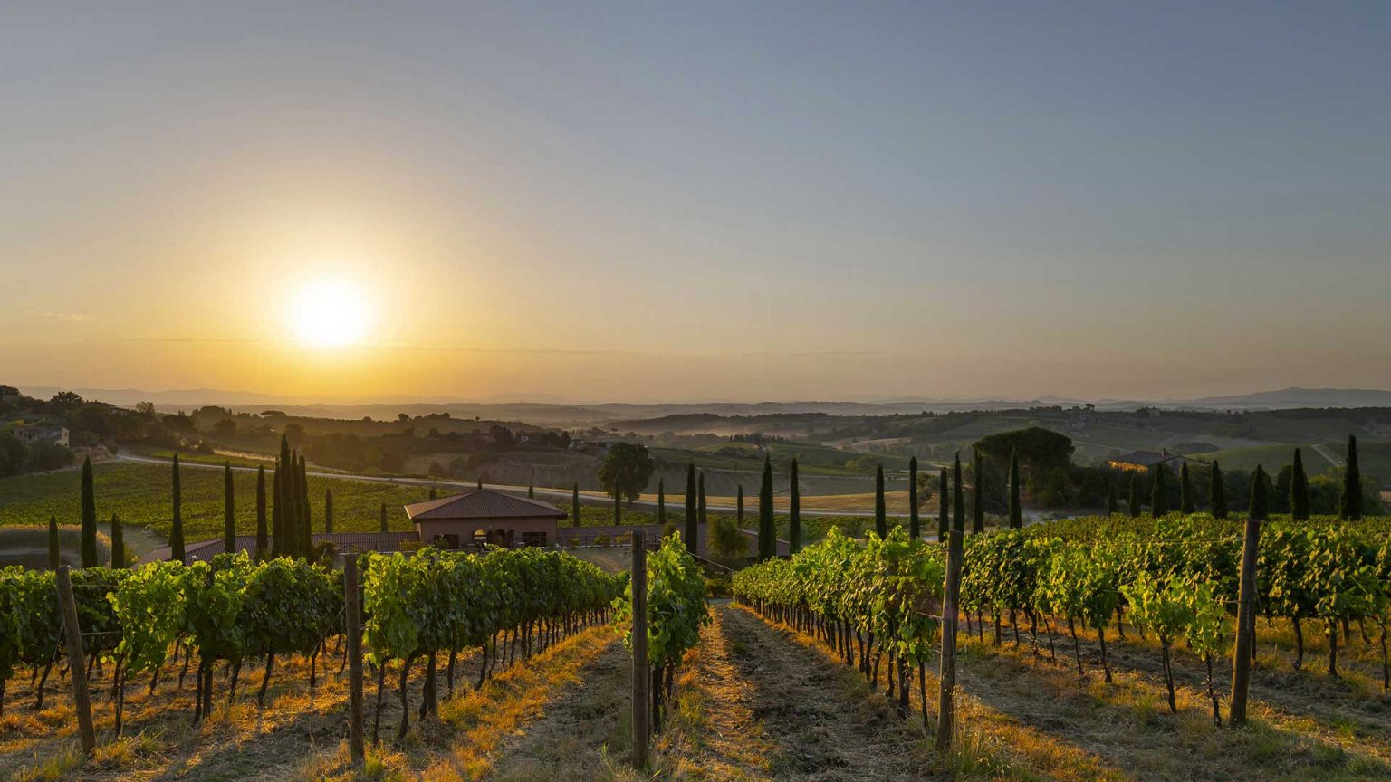 Tenuta Calimaia, una cantina nobile | Robb Report Italia