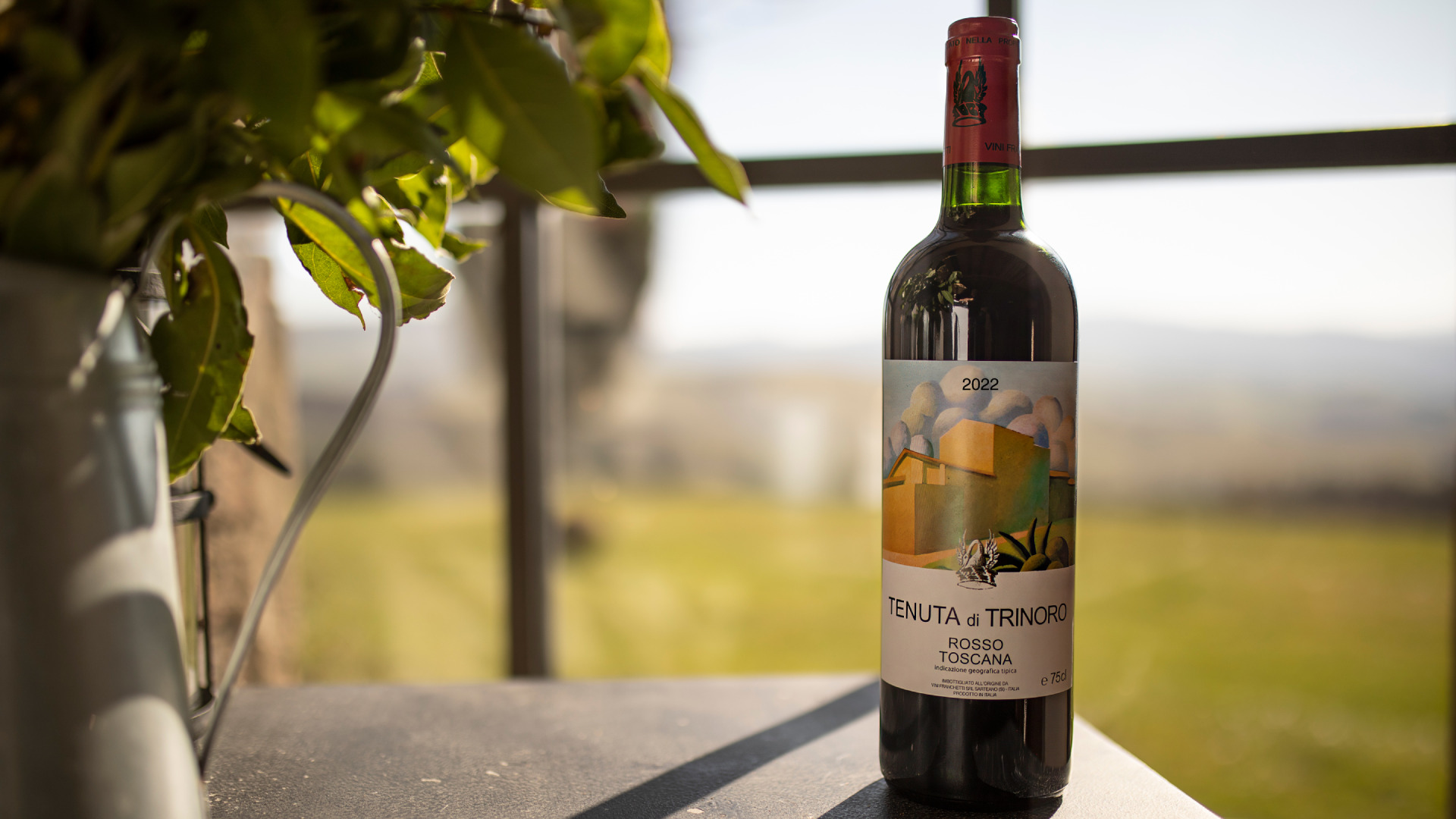 5 vini italiani d’autore per questo autunno | Robb Report Italia